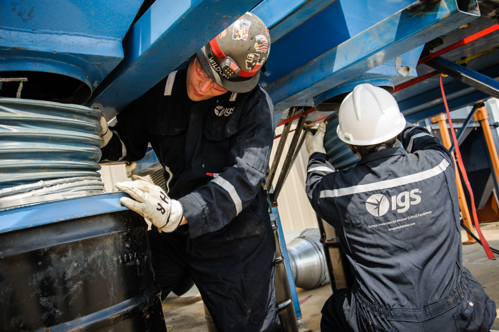 Integrated Global Services, IGS - Your Efficiency & Reliability Partner